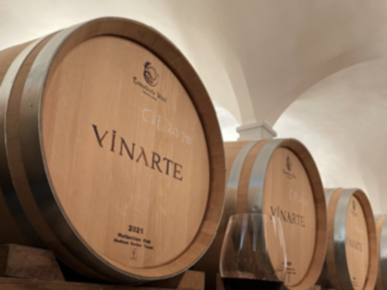 ルーマニアワイン&VINARTE | ROMAVINO『ロマヴィーノ』｜ルーマニアワイン